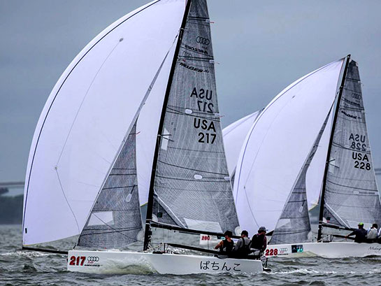 Melges 20 Sails - One Design Sails and Accessories - Quantum Sails