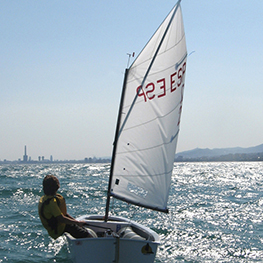 Optimist Sails - One Design Sails and Accessories - Quantum Sails